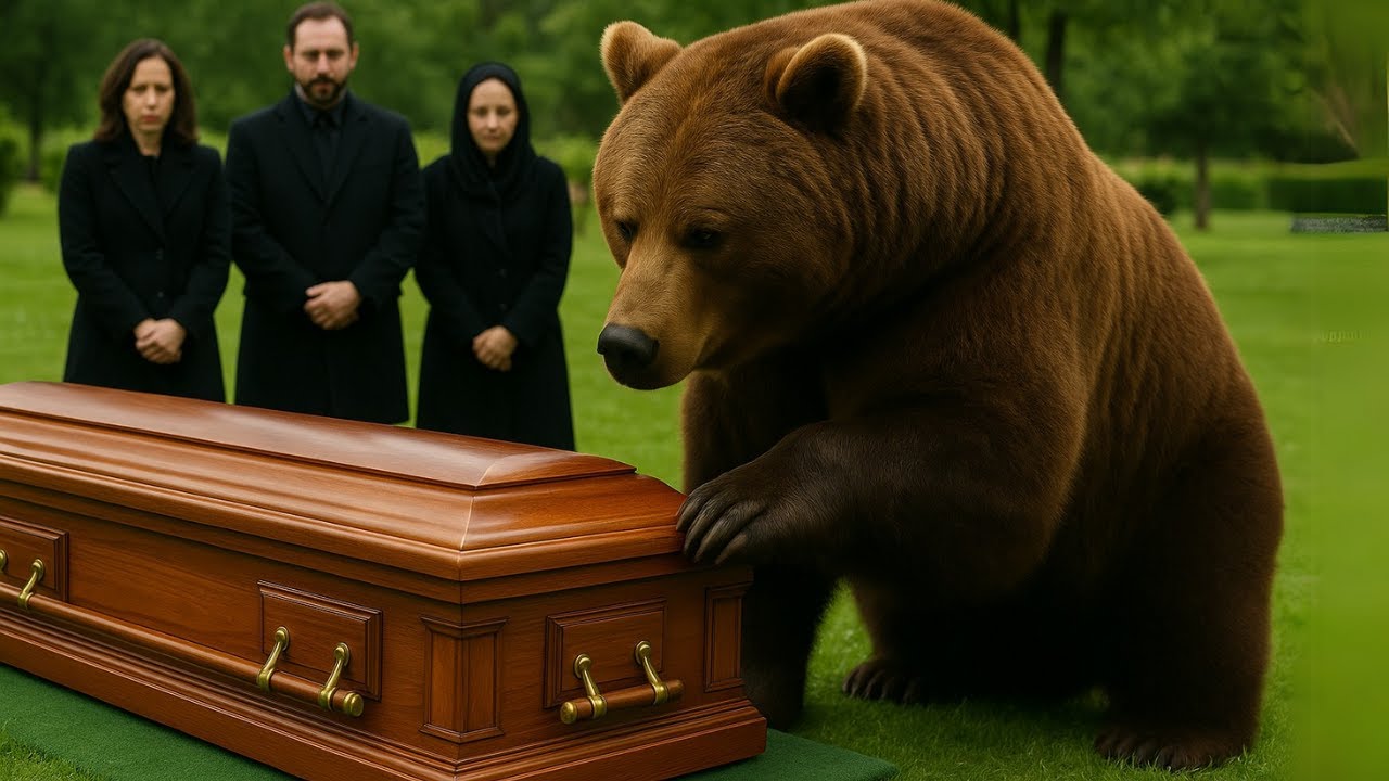 He Saved a Bear.. But He Never Imagined What It Would Do at His Funeral ...