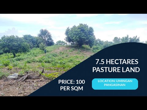 (V60) 7.5 HECTARES, PASTURE LAND, PRICE 100 PER SQM NEGOTIABLE ...