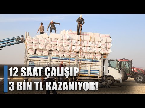 12 Saatte 3 Bin TL Kazanıyor! Diyarbakır'da Saman Presleme Mesaisi / AGRO TV HABER
