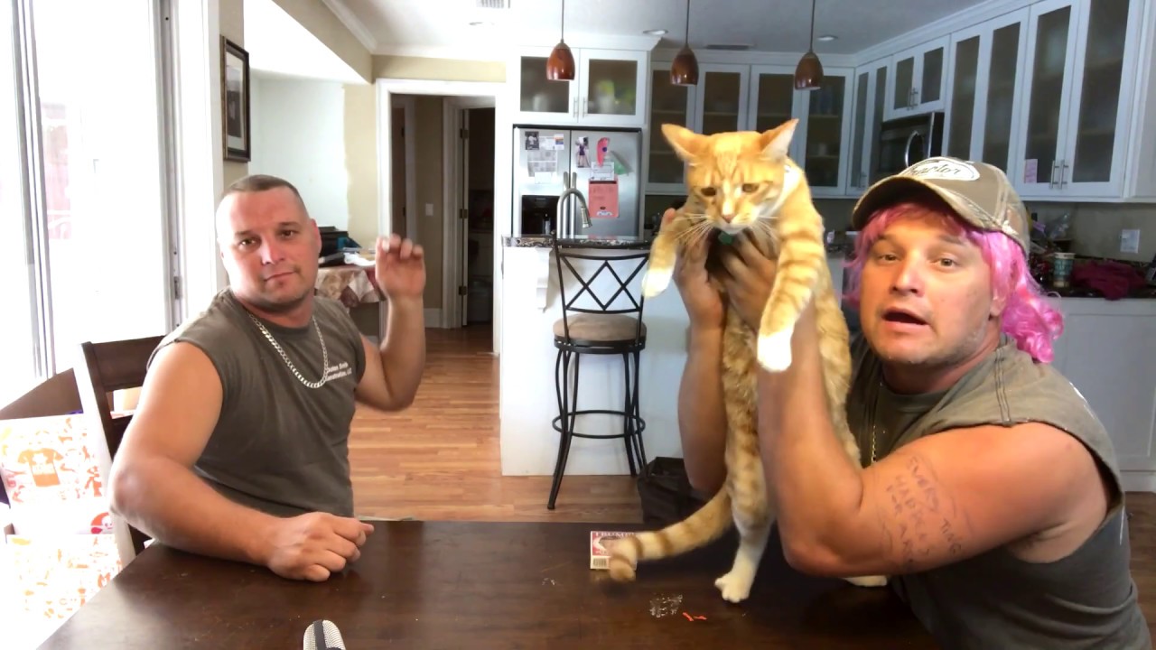 GOT MY JOB BACK - YouTube