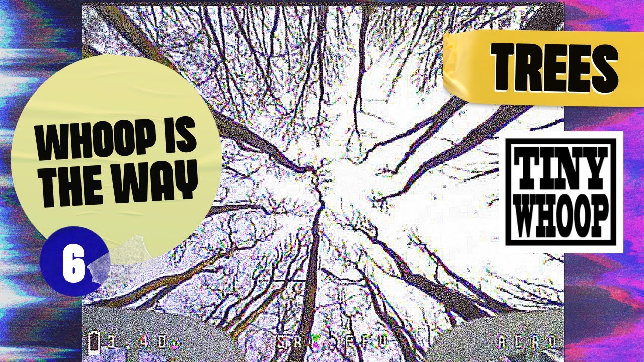 Trees | WHOOP IS THE WAY - Episode 6 | Tiny Whoop Freestyle - YouTube