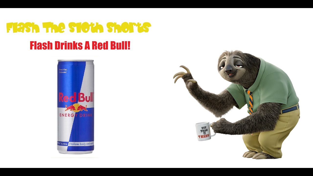 Flash The Sloth Shorts: Flash Drinks A Red Bull! - YouTube
