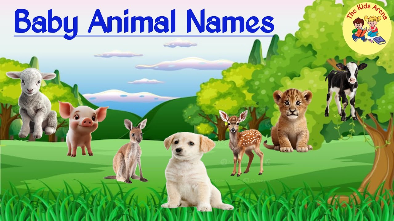 Baby Animal Names | Animals and their younger ones | Animal Babies for ...