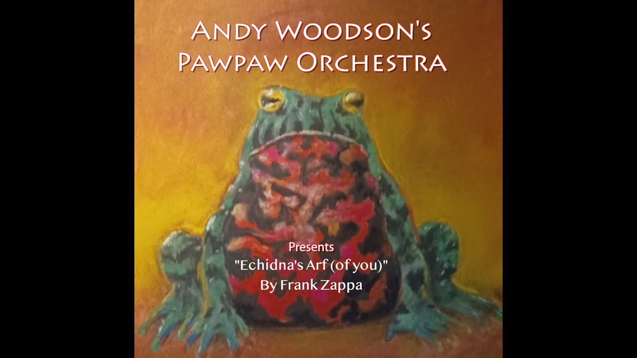 "Echnida's Arf (Of You)" by Frank Zappa (performed by Pawpaw Orchestra ...