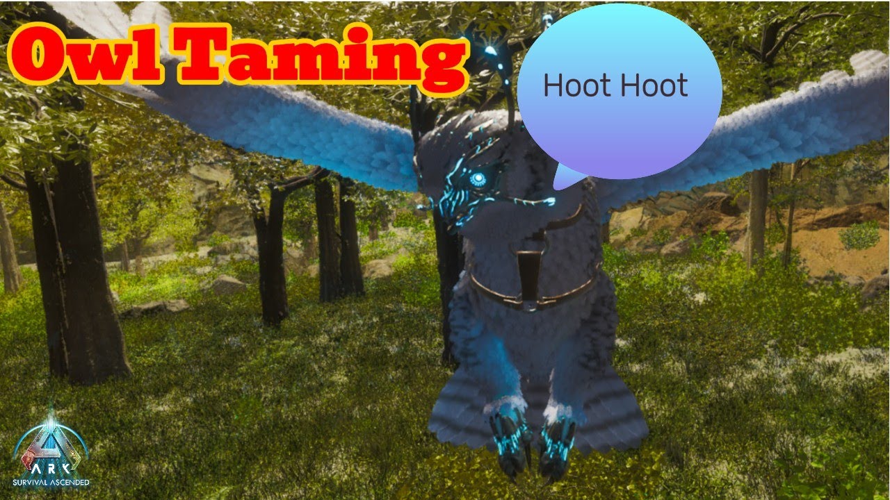 Owl Is A Whoot ASA Ectinction [EP 4] - YouTube