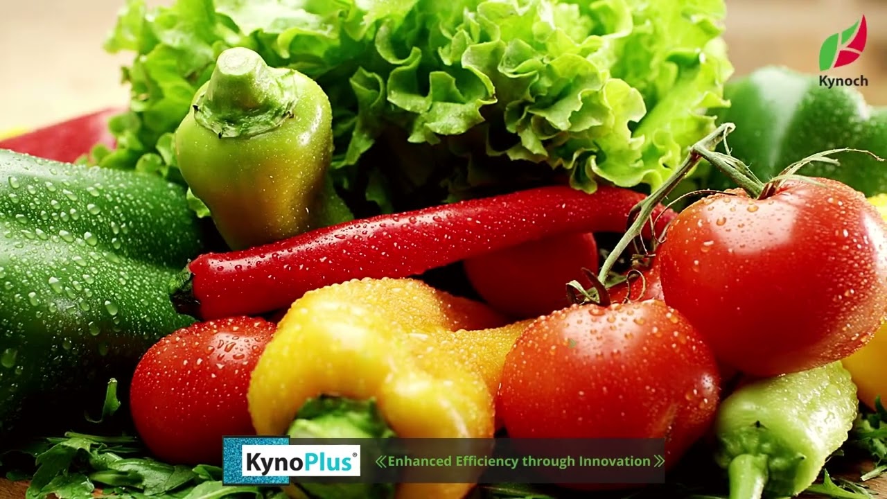 KynoPlus from Kynoch Fertilizer Pty Ltd - YouTube