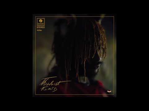 Thundercat - It Is What It Is (Feat. Pedro Martins) (432hz)