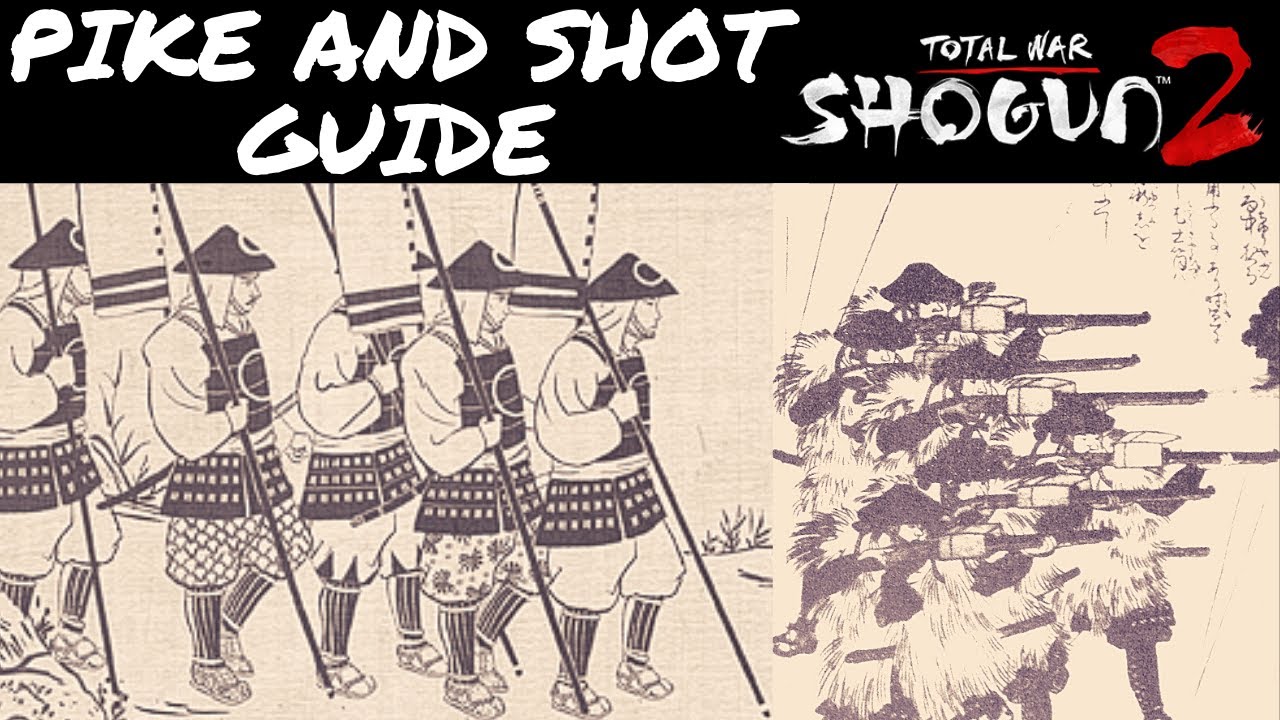 Shogun 2 Pike and Shot Guide - YouTube