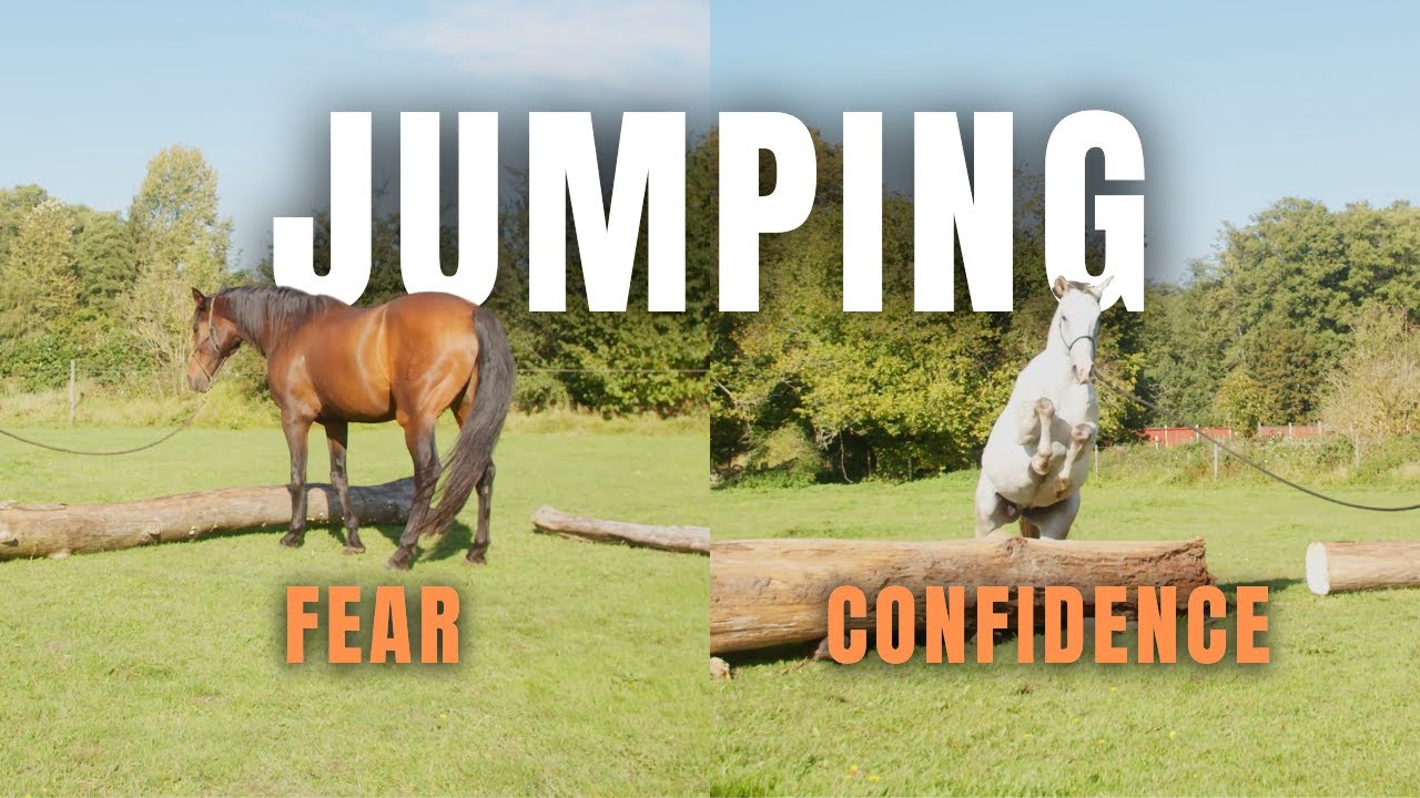 Fear vs Confidence - Jumping - YouTube