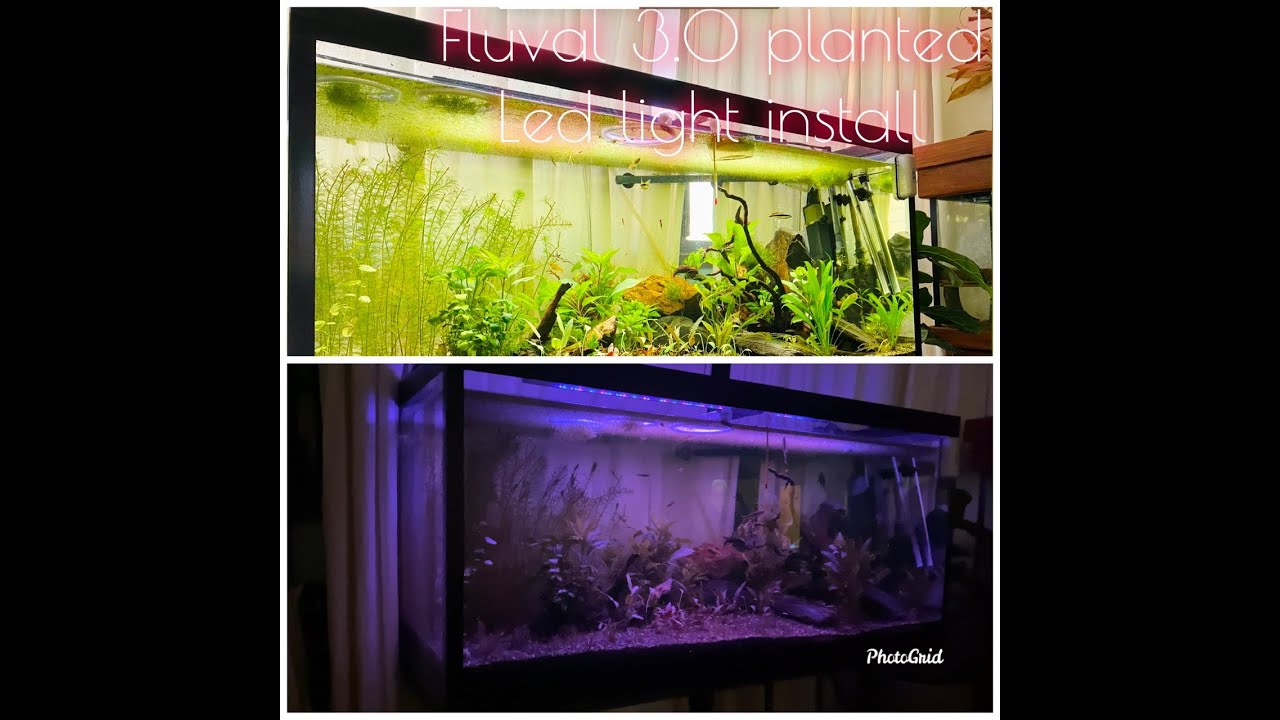 Fluval 3.0 plant Led light install - YouTube
