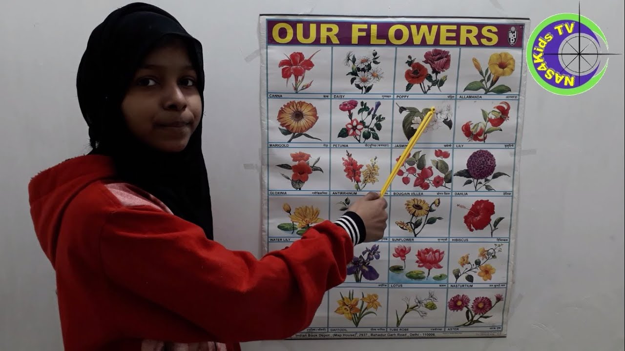 Learn flowers for kids | Kindergarten Kids Learning Videos | Different ...