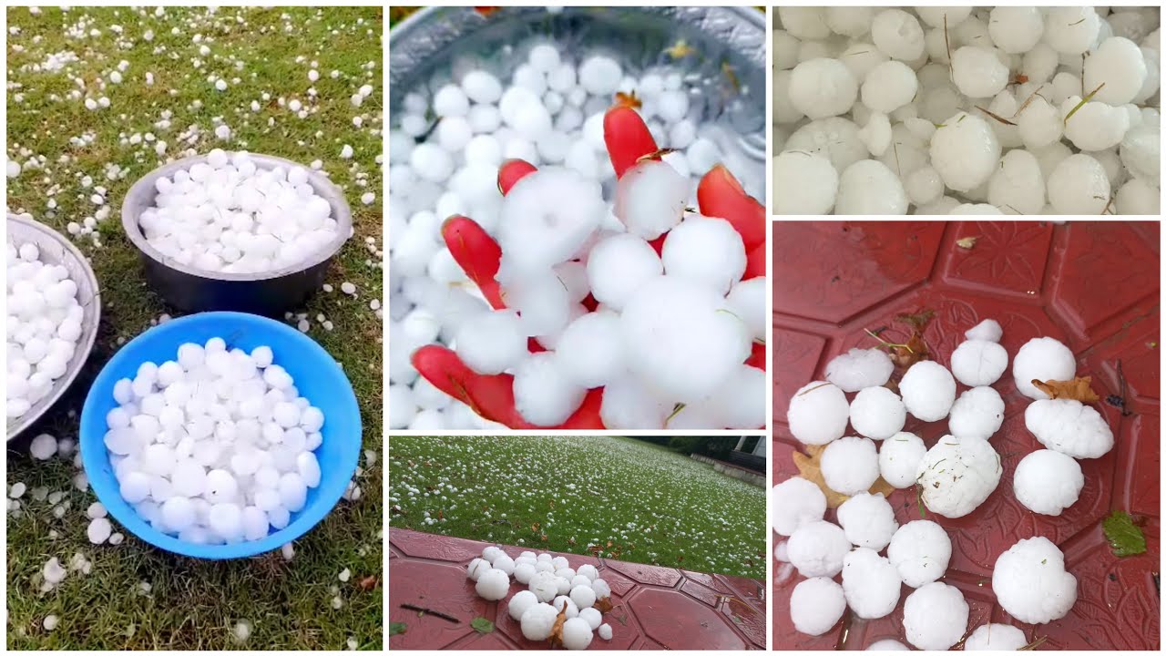 Bajaur Weather Update Today Heavy Rain And Zala Bari Jala Bari bajaur-weather-update-today-heavy-rain-and-zala-bari-jala-bari