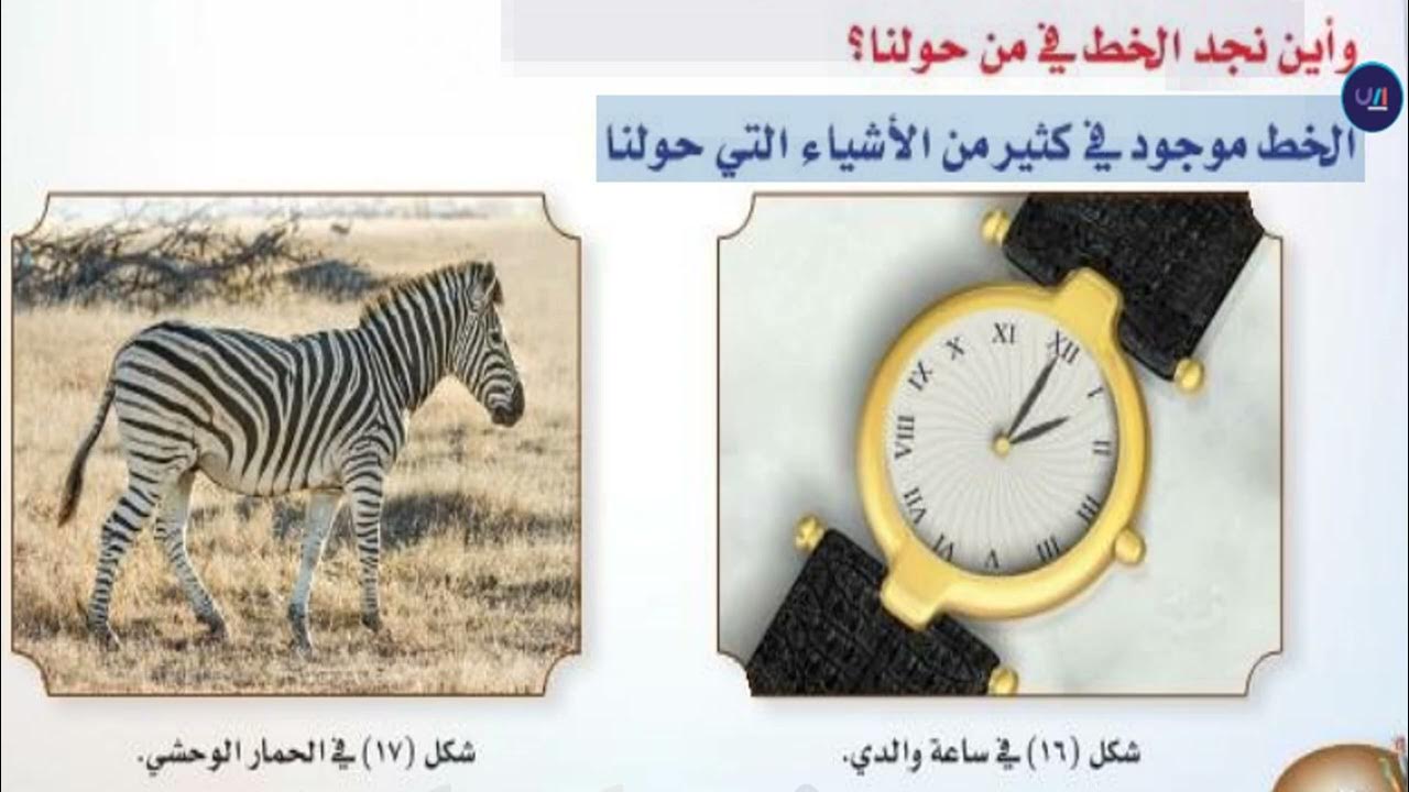 أين نجد الخط في من حولنا - YouTube