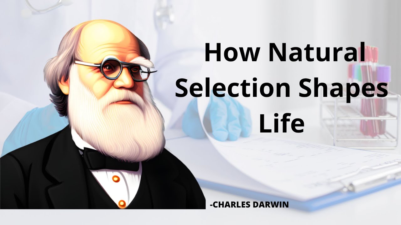 How Natural Selection Shapes Life - Darwin's Theory - YouTube