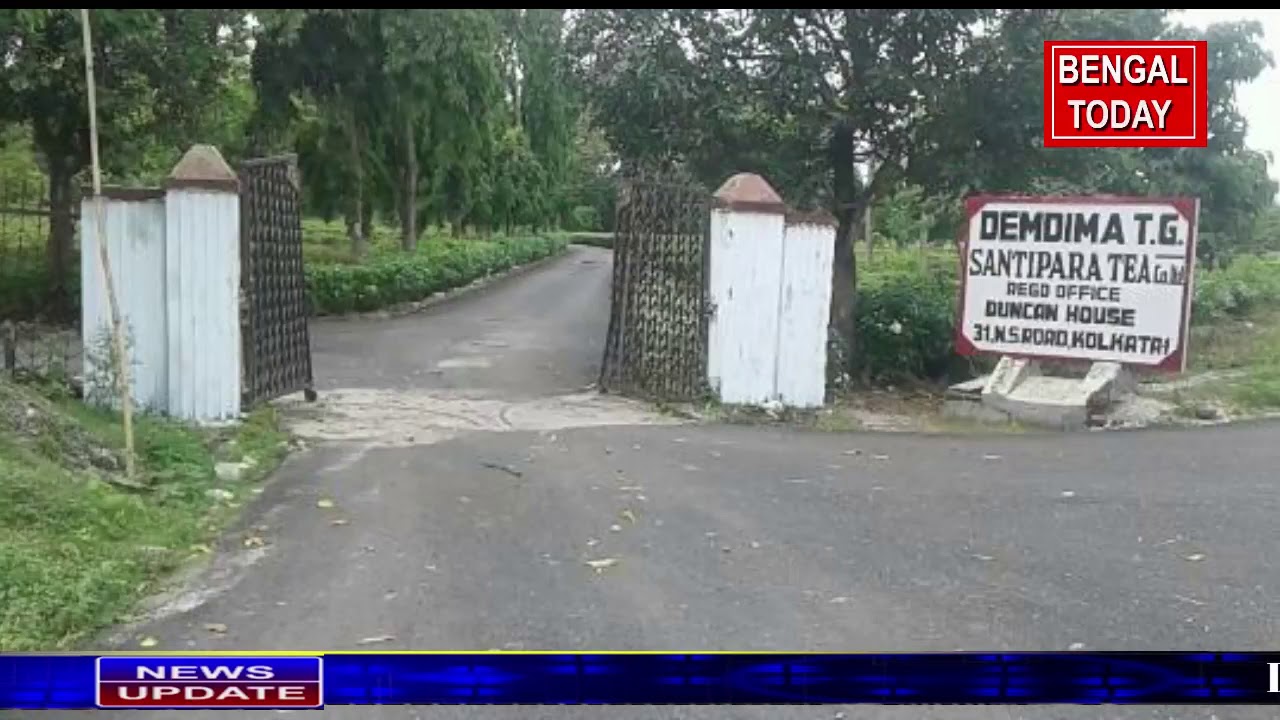 Dimdima Tea Garden is going to open in 11th March. - YouTube