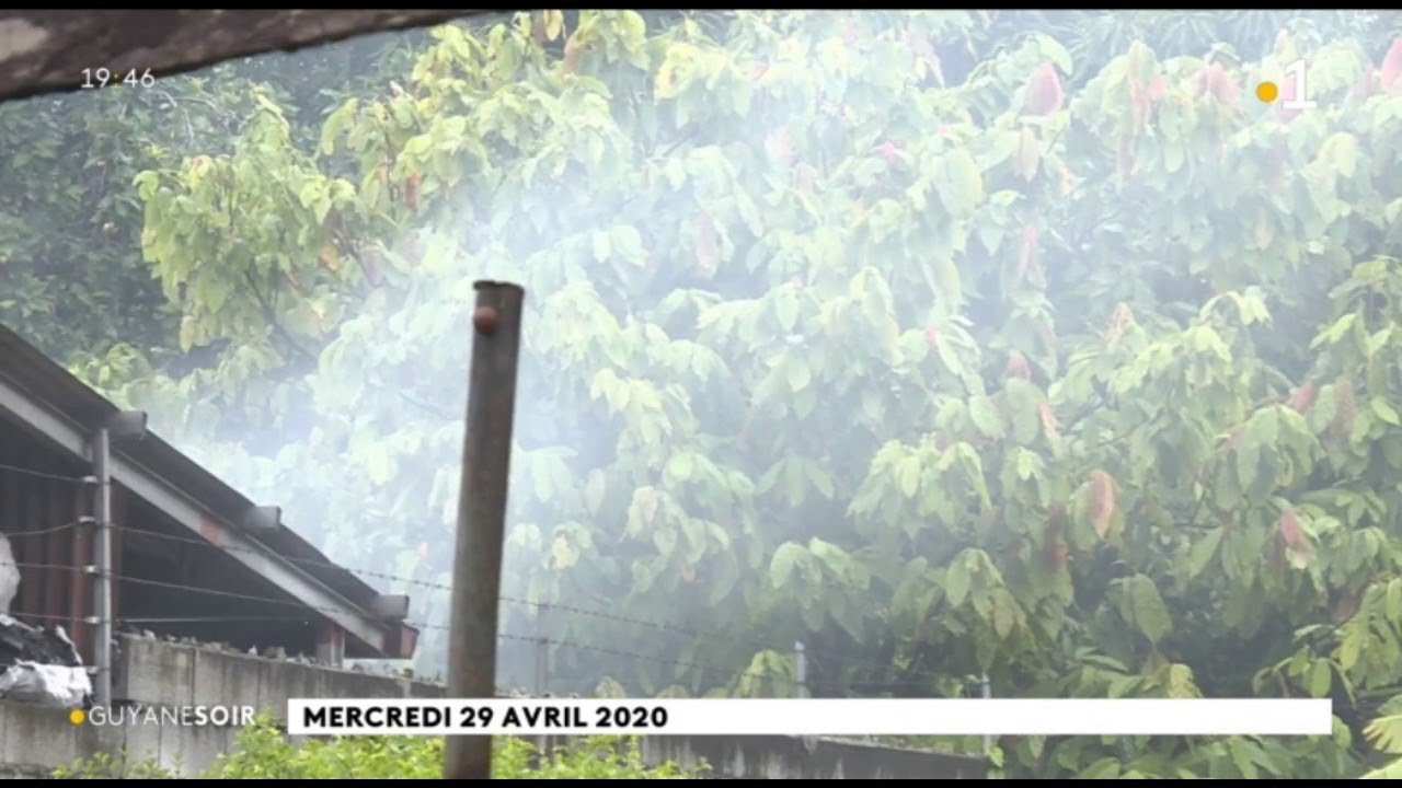 Nuisances : des riverains de Montjoly mécontents des fumées de ...