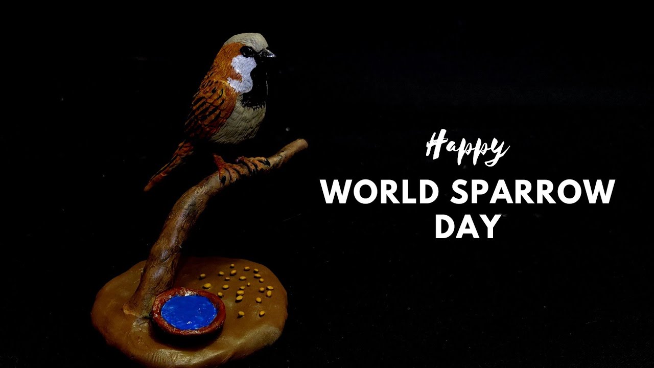 Happy world sparrow day | save the sparrow - YouTube