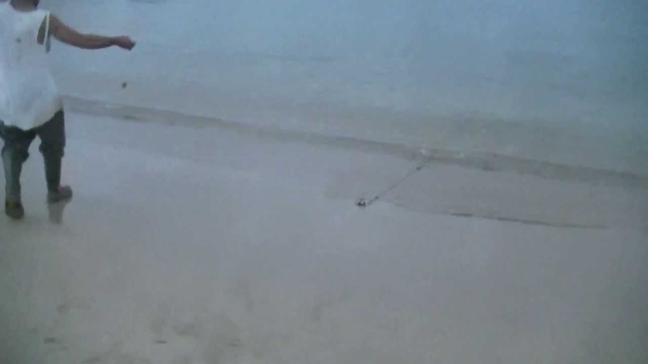 How To Catch Big Crabs On A Handline - YouTube