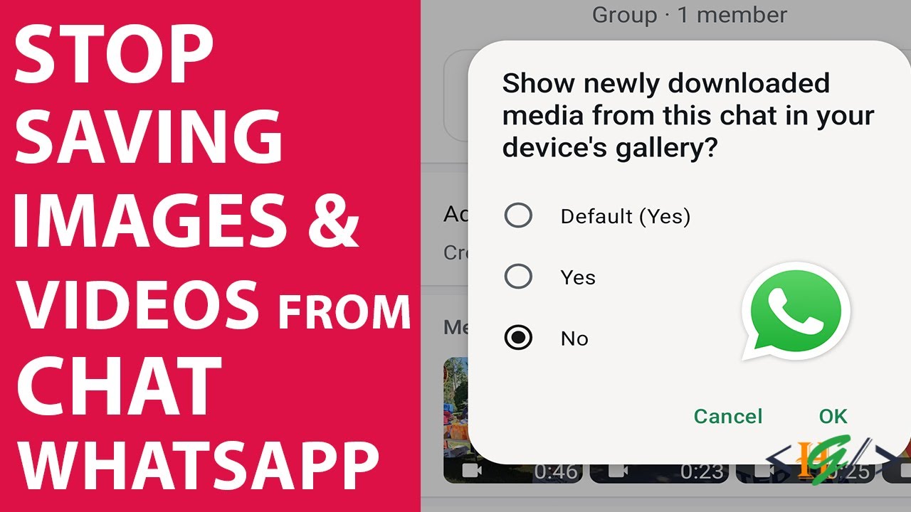 How to Stop Photos and Videos from a Specific WhatsApp Chat from Saving ...