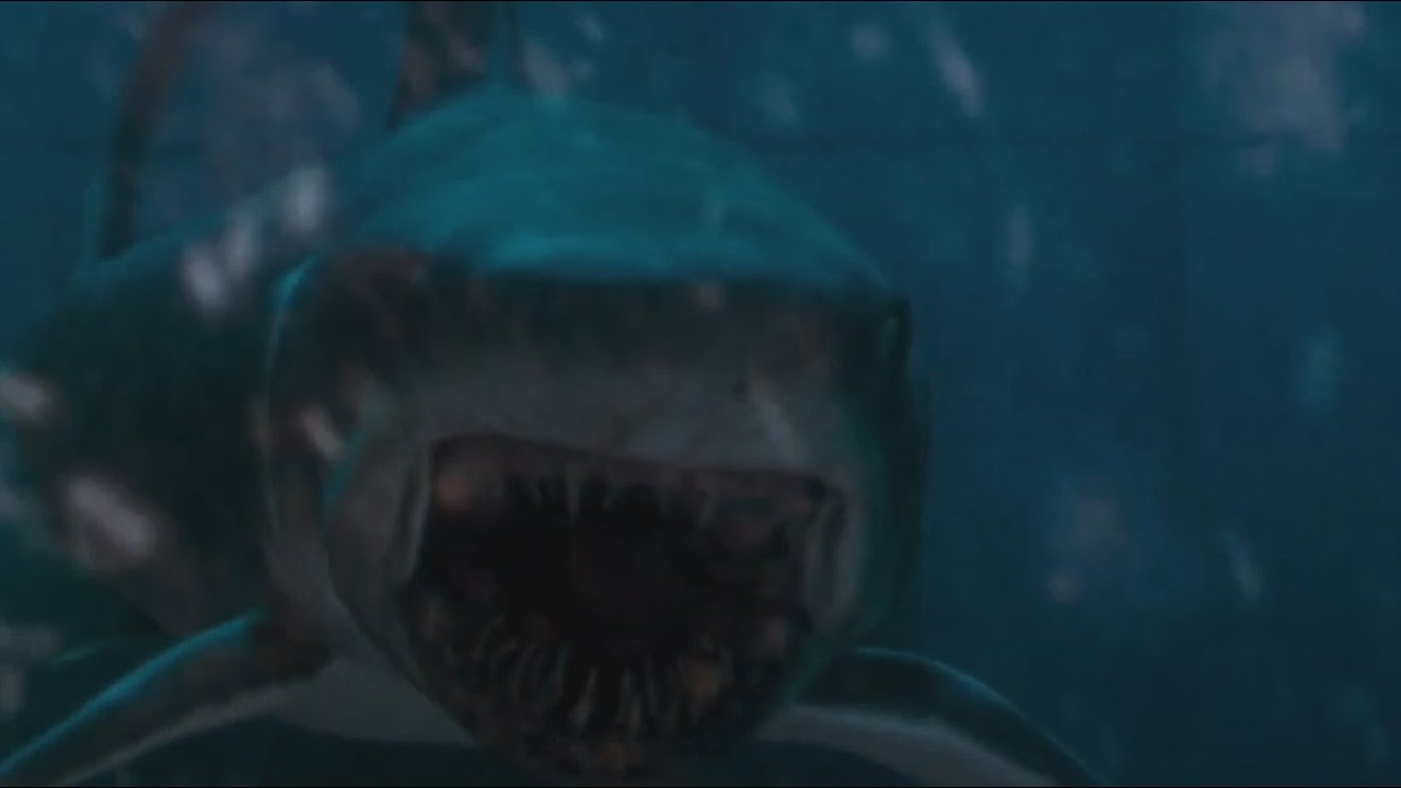 Scientists Experiment On Shark Brain For Alzheimer's Cure But Make ...