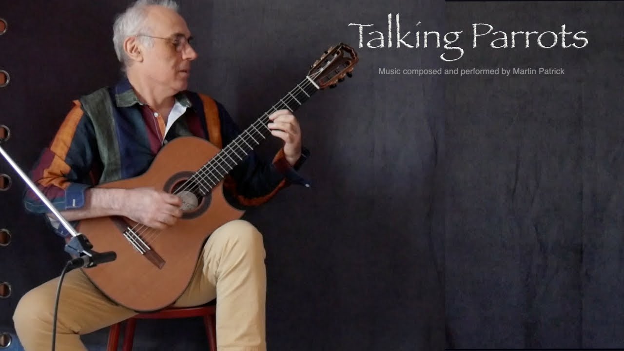 "Talking Parrots". Classical guitar original by Martin Patrick ...