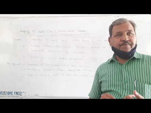 judging of dairy cow(score card method) - YouTube