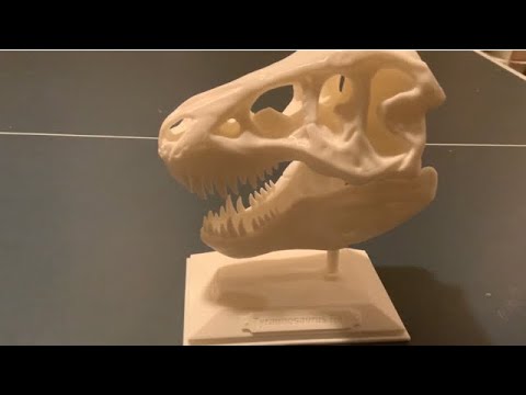 3D Printed Makerbot T-Rex Skull!!! - YouTube