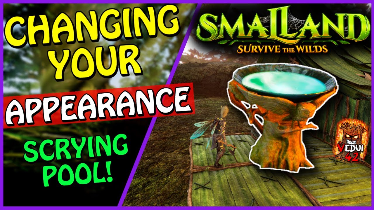 CHANGE your APPEARANCE with the Scrying Pool in Smalland! - YouTube