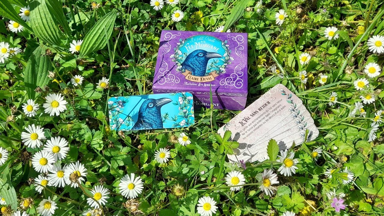 Le petit Oracle de la Fée Morgane, de Claire DUVAL. (Review) - YouTube