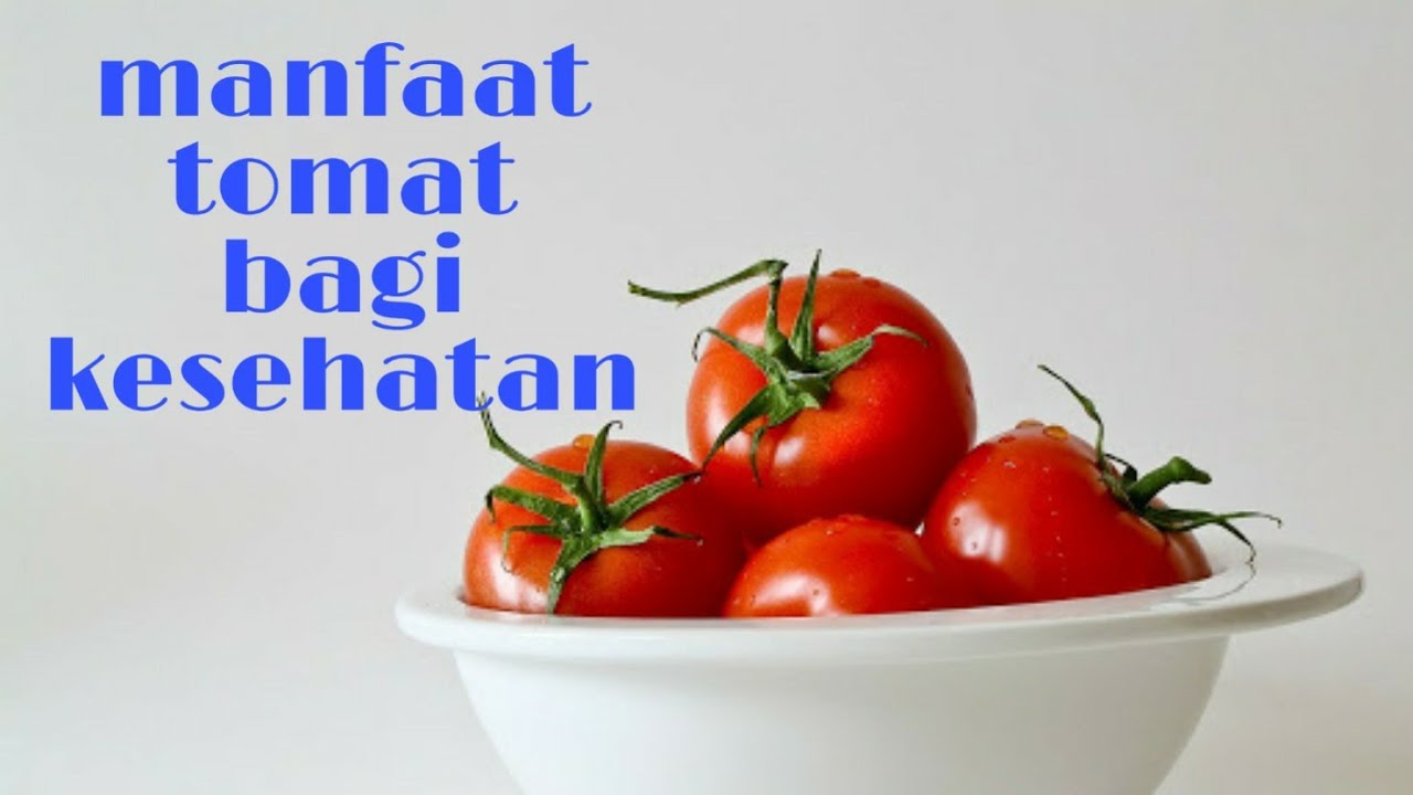 Inilah 9 Manfaat Tomat Untuk Kesehatan Tubuh Yang Perlu Diketahui