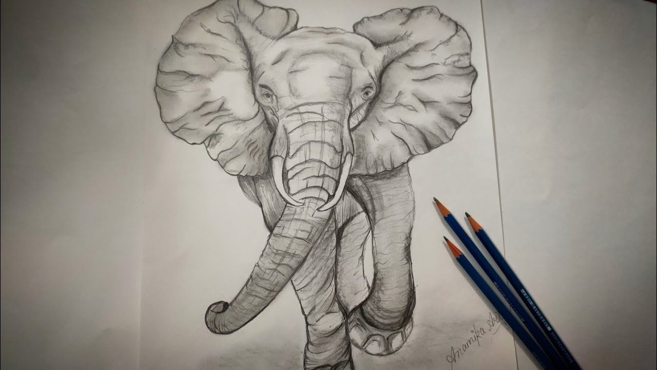 Elephant pencil sketch||easy drawing||how to draw elephant step by step ...
