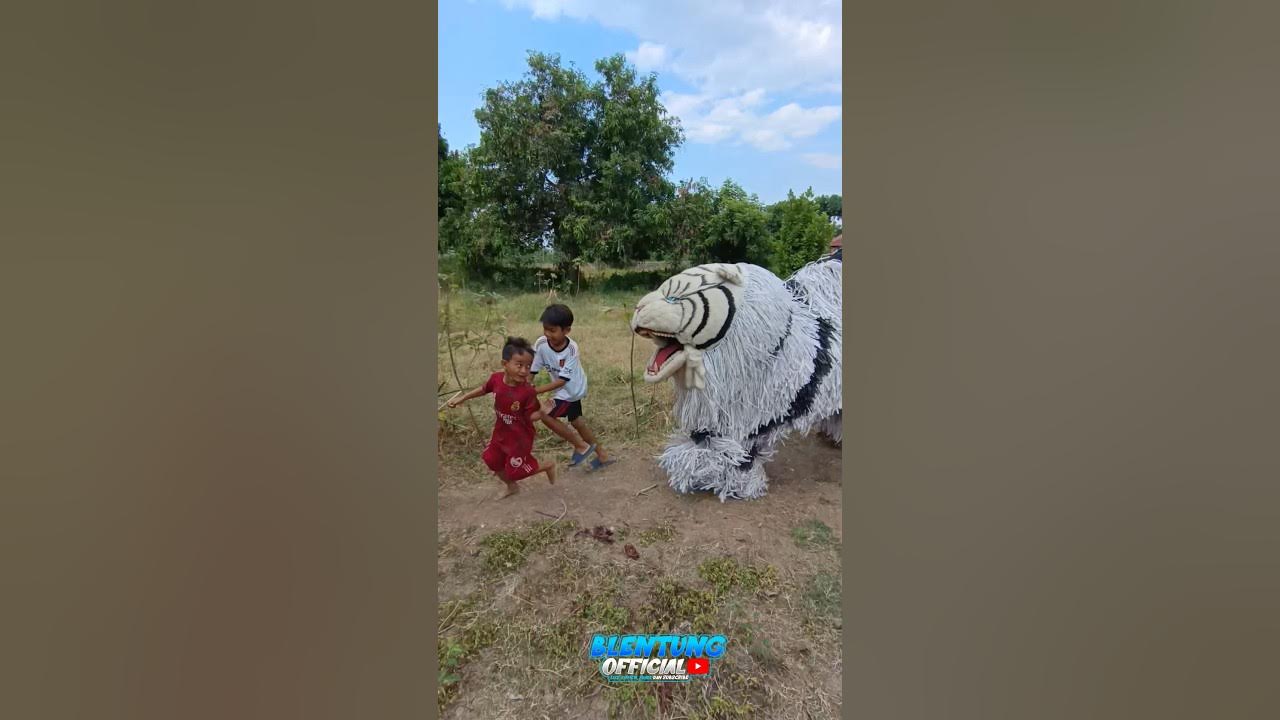 Lagi jalan jalan santai bocil ff dikagetin can macanan - YouTube