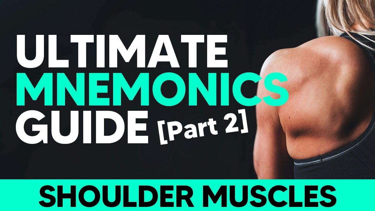 Ultimate Mnemonics Guide to the Shoulder Muscles [Part 2] - YouTube