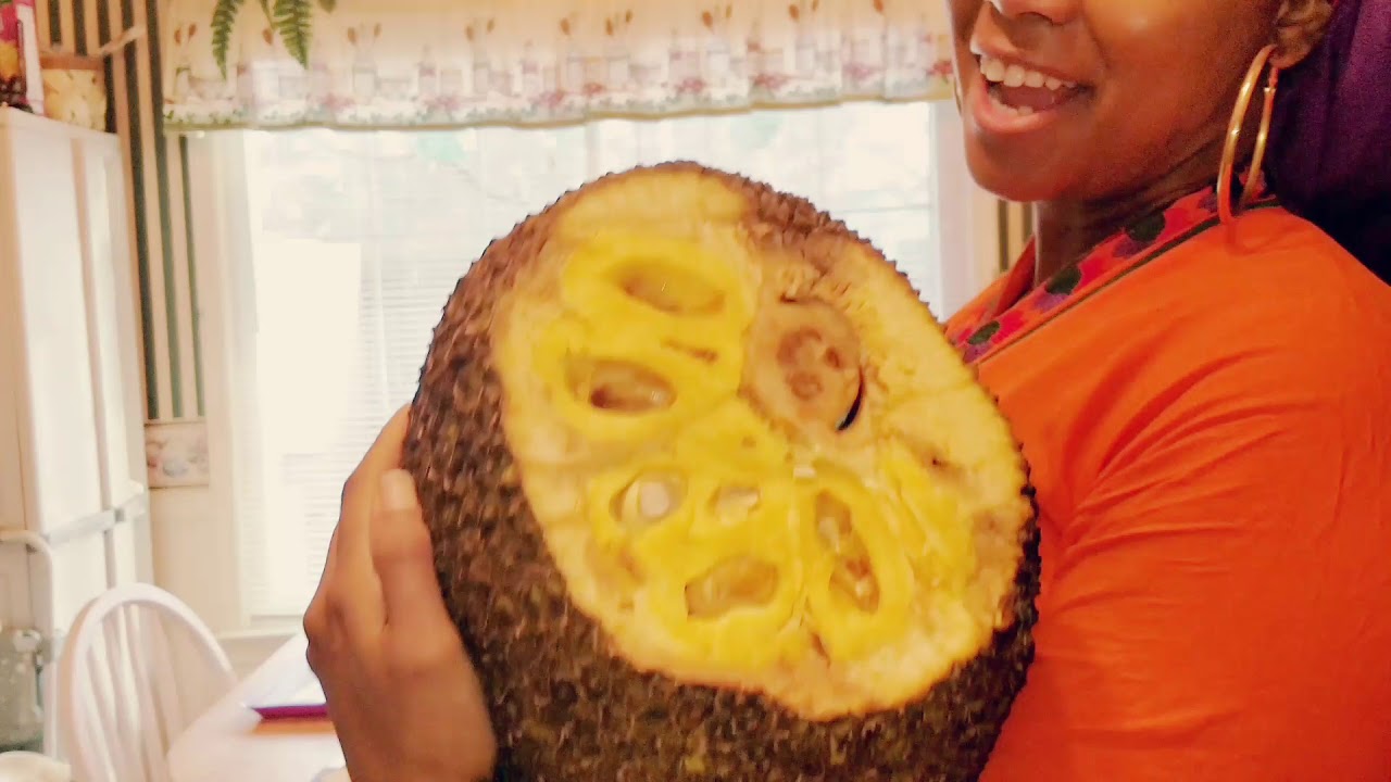 Cutting open a Jack fruit. - YouTube