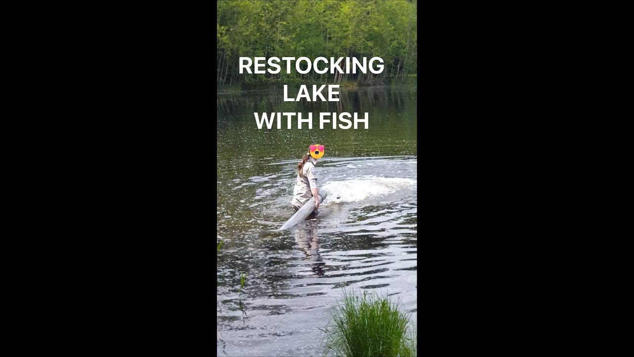 RESTOCKING LAKE WITH FISH - YouTube