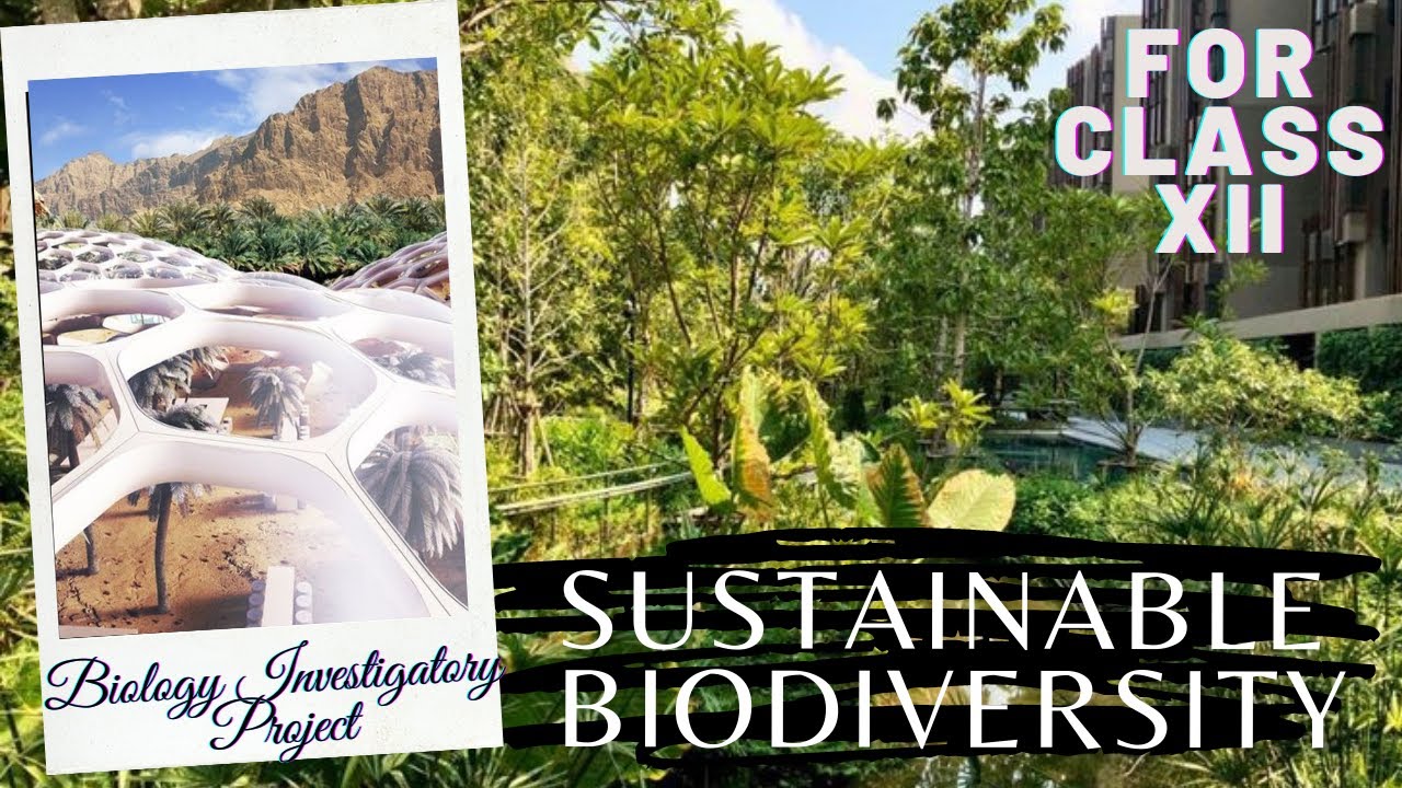sustainable biodiversity | biology investigatory projects - YouTube