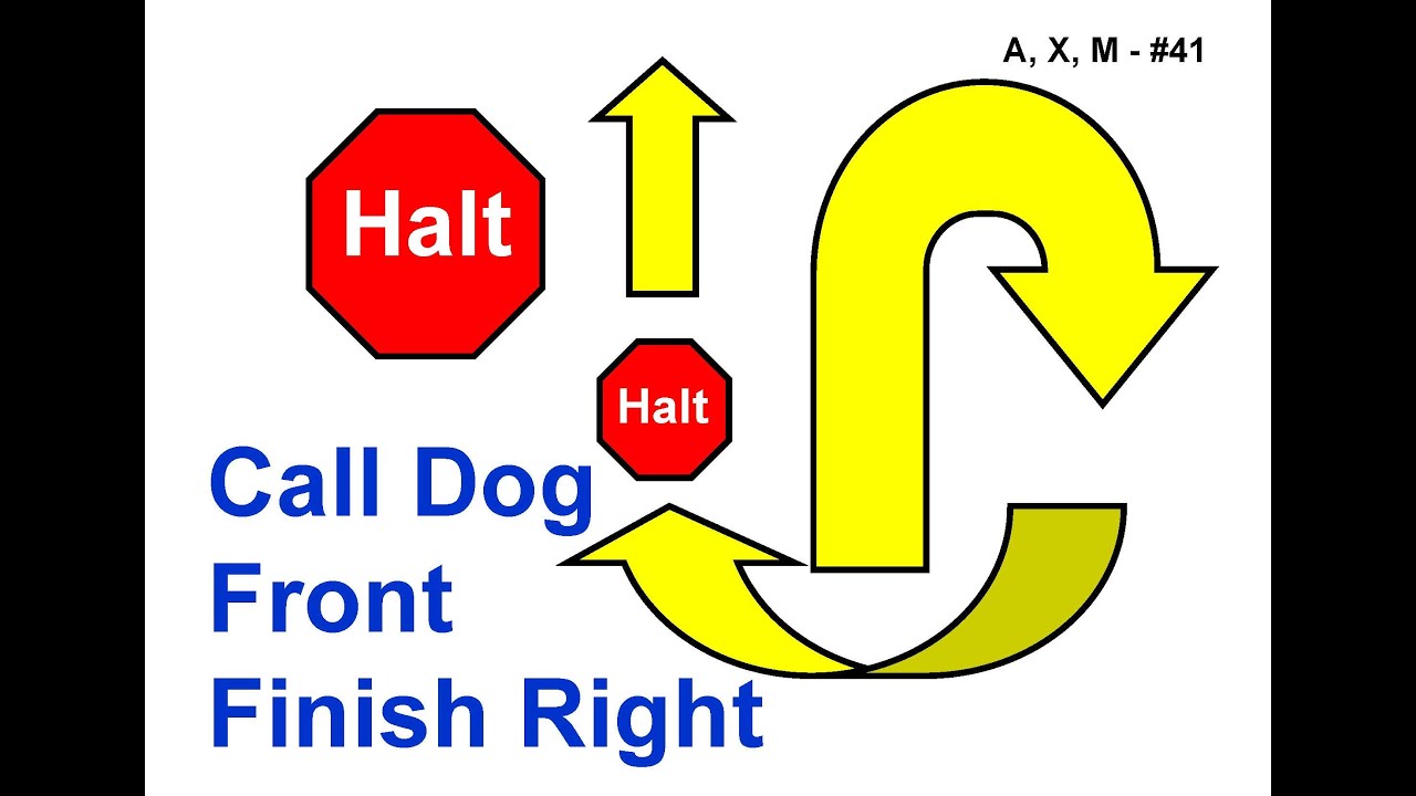 ANKC 2021 Rally Sign #41: Halt - Call Dog Front - Finish Right ...