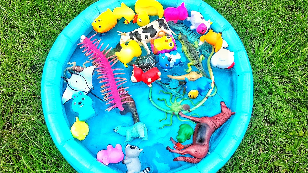 Learn animal names & facts for babies toddlers kids - YouTube