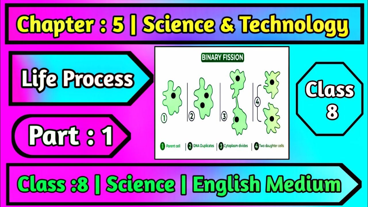 Class 8 Science Chapter 5 Life Process in English | Part 1 ...
