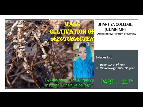 mass cultivation of azotobacter - YouTube