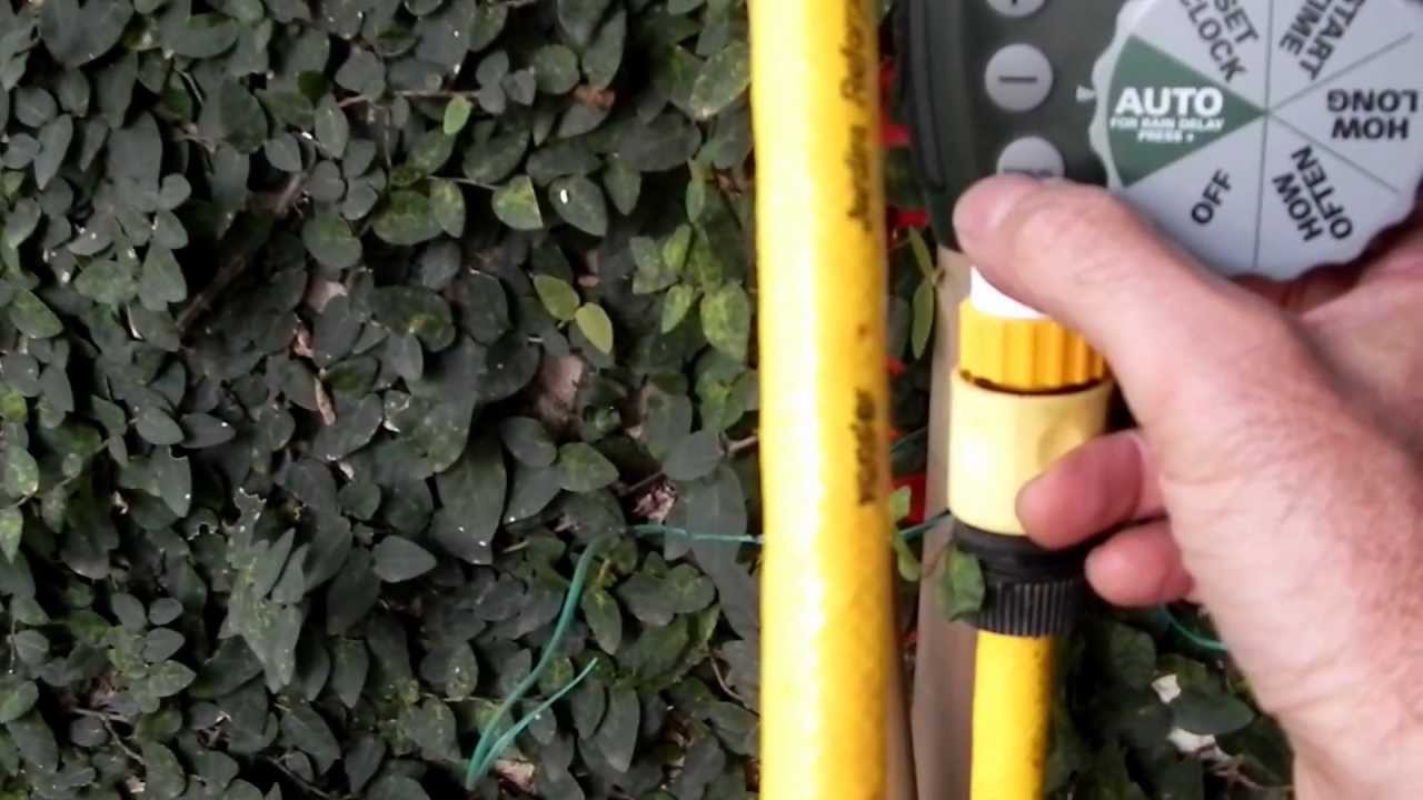 Irrigação automática de jardim - YouTube