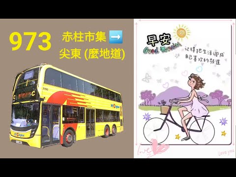Hong Kong Bus CTB 9150 @ 973 城巴 Alexander Dennis Enviro500 MMC New ...