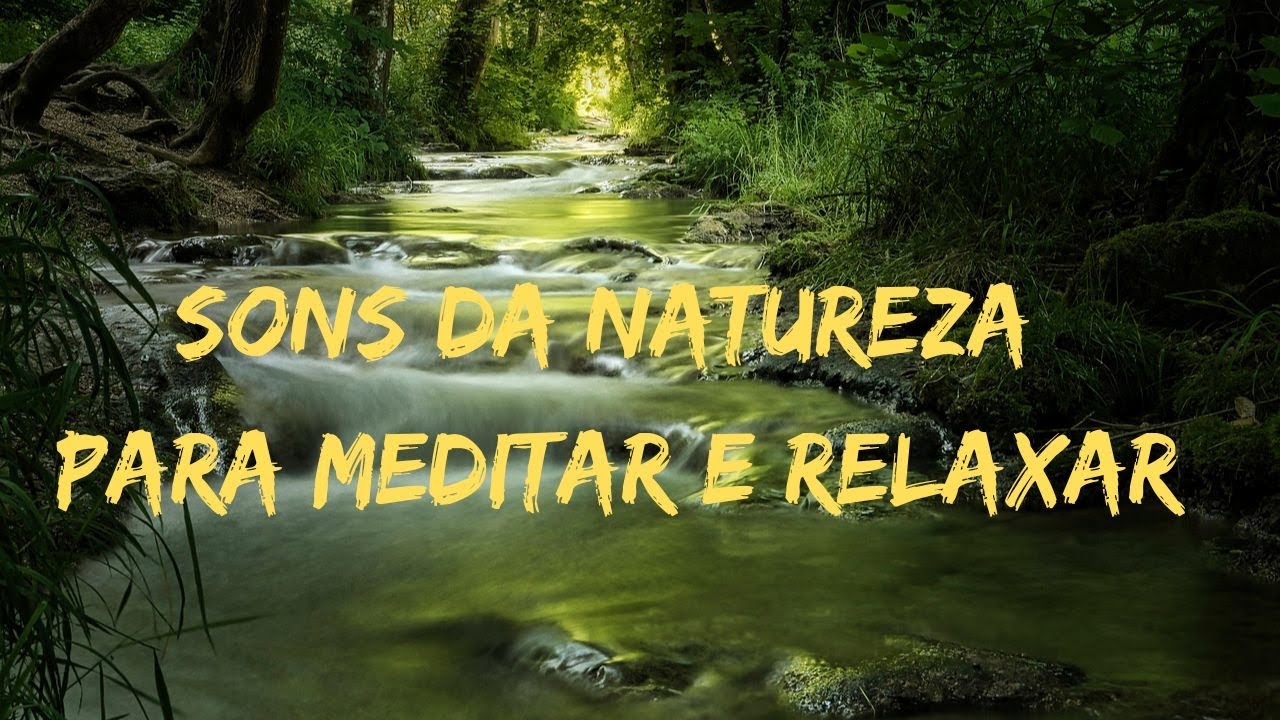 SONS DA NATUREZA PARA MEDITAR E RELAXAR PARTE 1 - YouTube