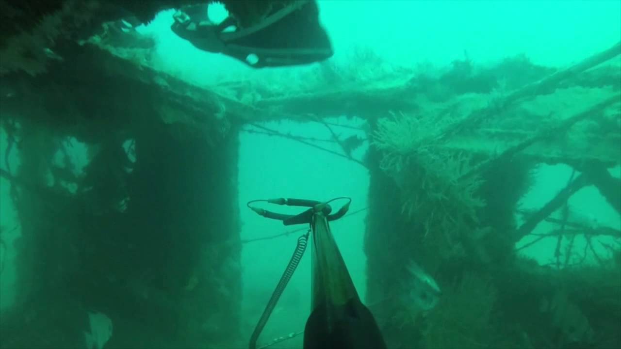 Scuba diving Old Subway Car and Spearfishing - YouTube
