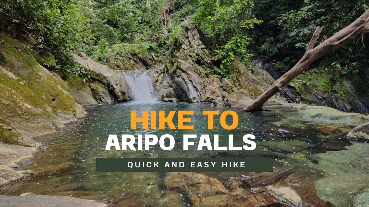 Hike to Aripo Wateralls (Aripo Basin-Lower) - YouTube
