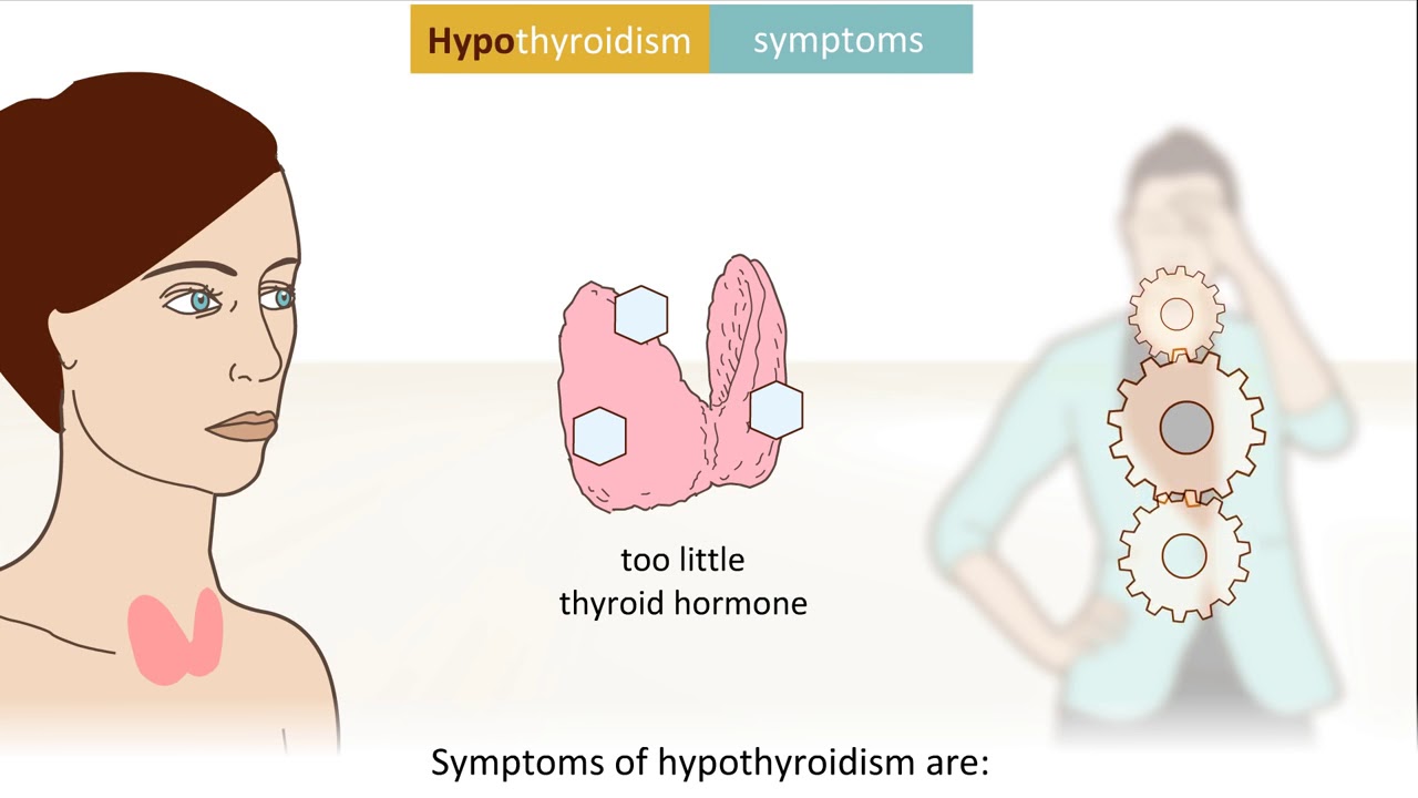 THE ENDOCRINE SYSTEM: Thyroid problems, symptoms and treatment - YouTube