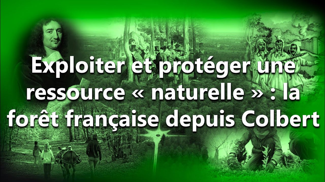 Exploiter et protéger une ressource « naturelle » : la forêt française ...