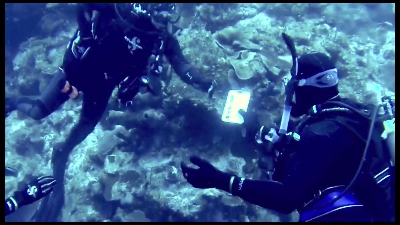Advanced Open Water SCUBA Students - 100 Feet Training Dive - YouTube