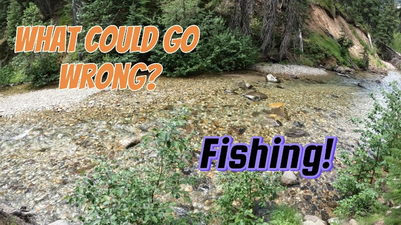 Ride on New Mule Turns Into Backcountry Wreck | Mountain Fishing Gone ...