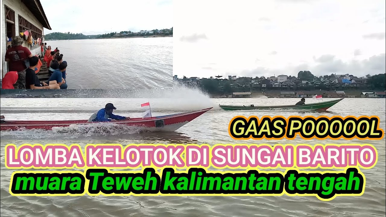 meriahnya balap perahu ces di sungai Barito kota muara Teweh HUT RI ke ...